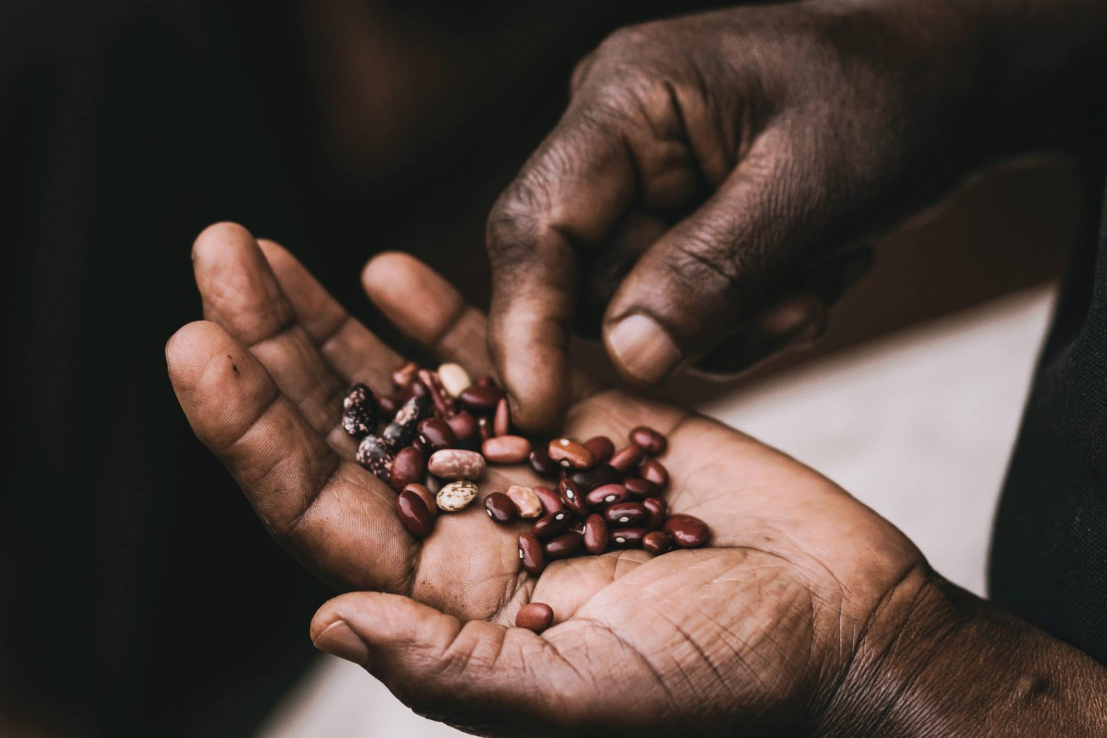 New high-yielding bean varieties developed - Smart Farmer Africa
